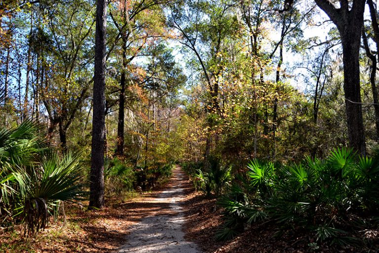 Hiking Silver Springs State Park - Bryan Berg