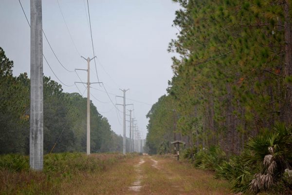 Hiking Power Line Trail - Bryan Berg