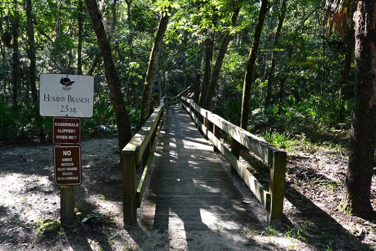Hiking Princess Place Preserve - Bryan Berg