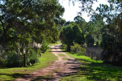 Hiking Princess Place Preserve - Bryan Berg